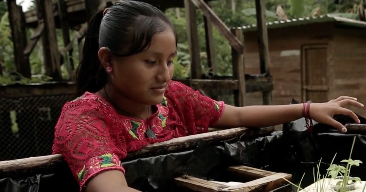 TIES Projects Funded by Viaduct Foundation | VIADUCT.CA